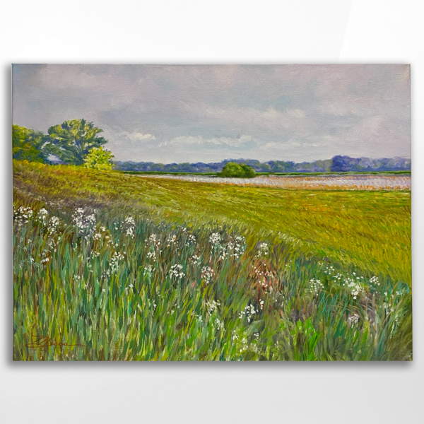 South Dakota Art Museum - South Dakota Art Museum