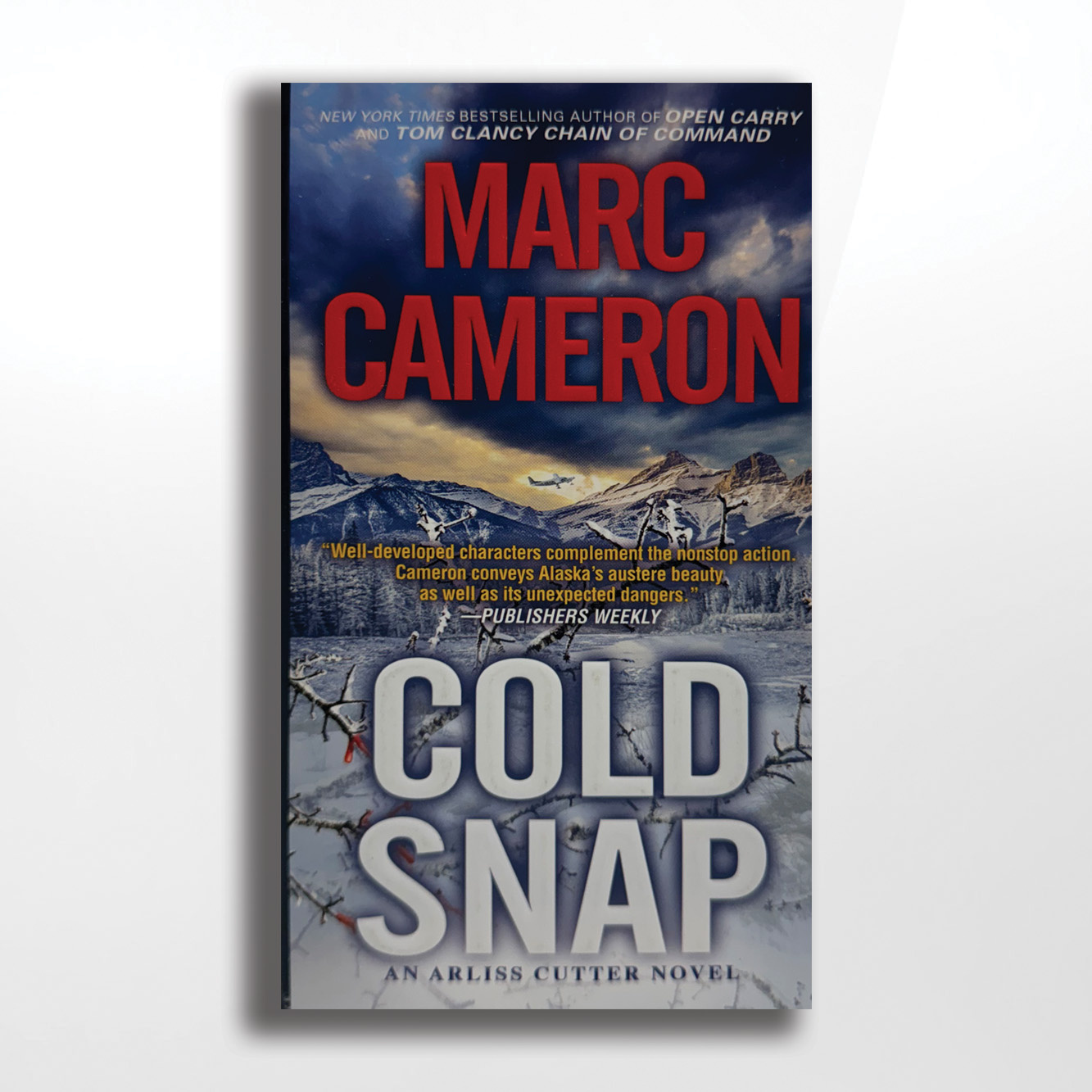 Cold Snap, Marc Cameron - South Dakota Art Museum