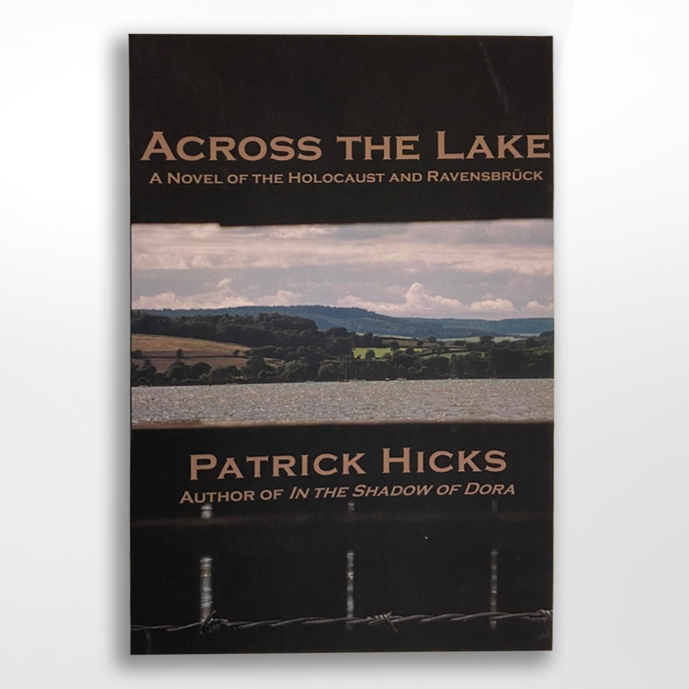 Across the Lake, Patrick Hicks - South Dakota Art Museum