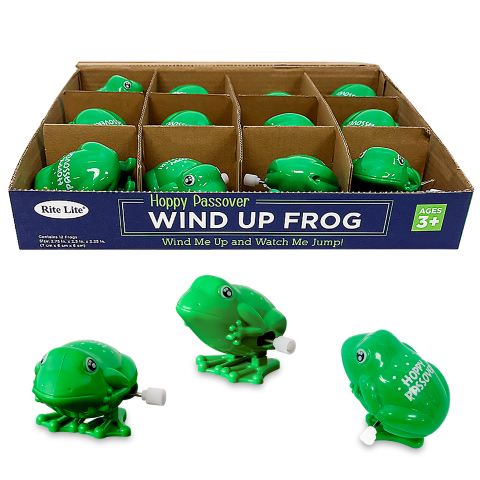 Wind Up ''Hoppy Passover'' Frog - The Israeli Source
