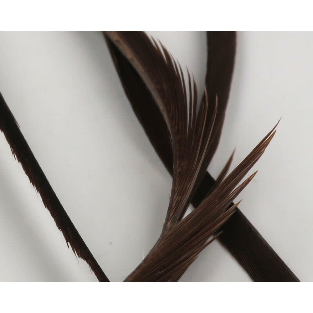 Hareline Stripped Goose Biots - Salmon River Fly Box