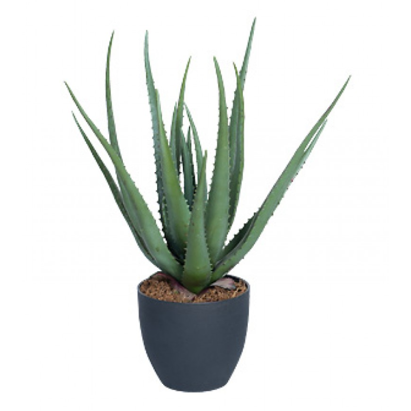 16" Artificial Aloe in 7" Pot - The Green Spot Brandon
