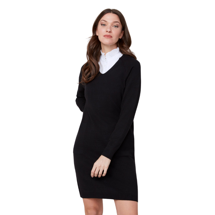 Renuar - Classic V-Neck Sweater Dress - The Green Spot Brandon