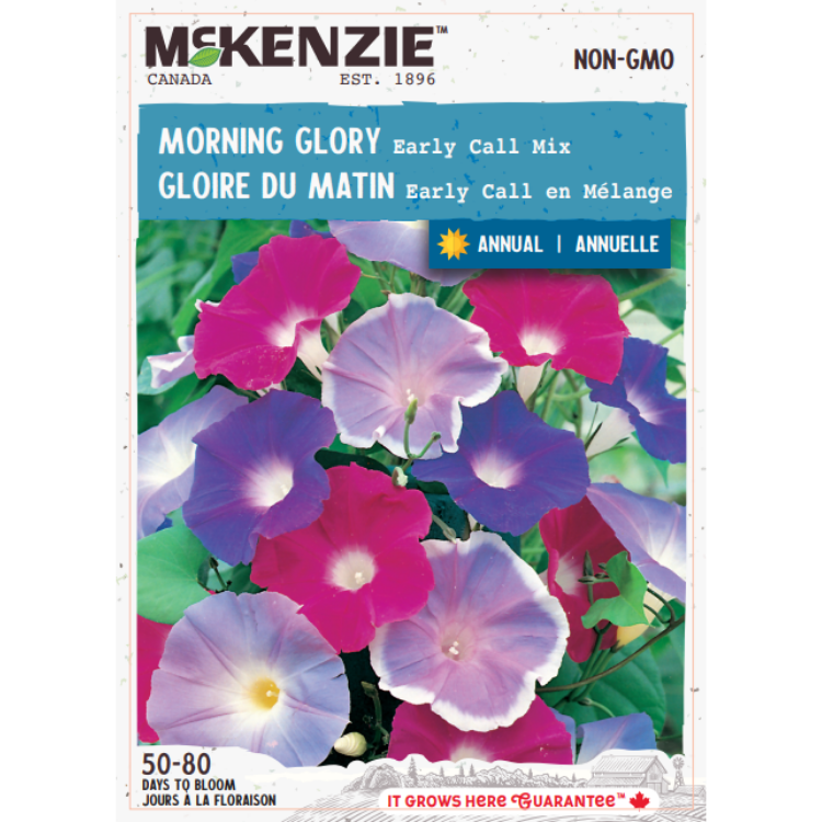 MK 2.49 F Morning Glory Early Call Mix - The Green Spot Brandon