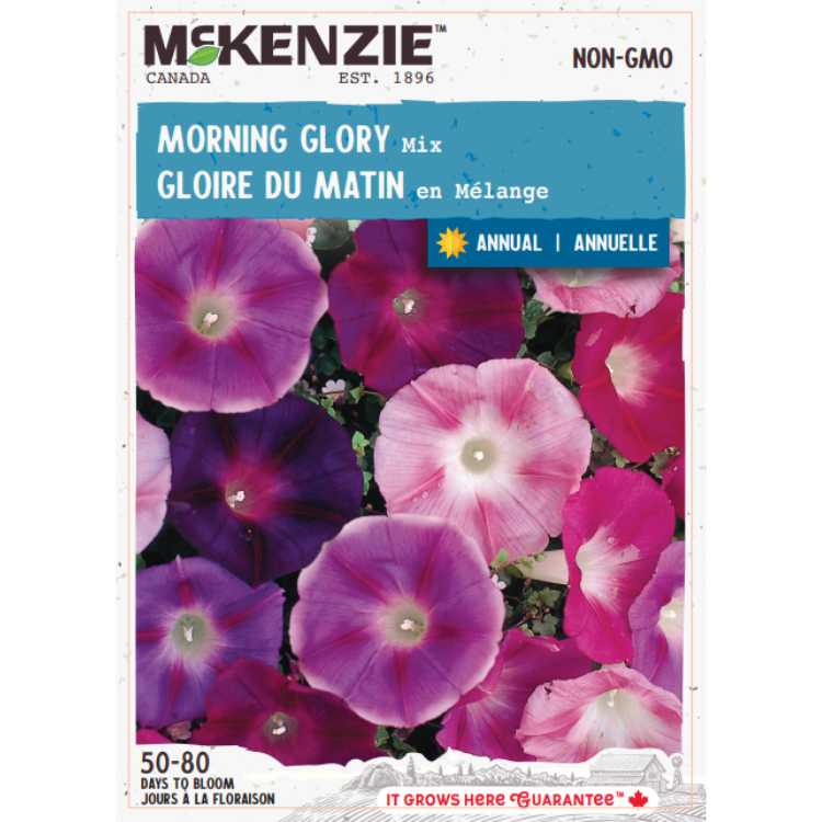 MK 2.49 F Morning Glory Mix - The Green Spot Brandon