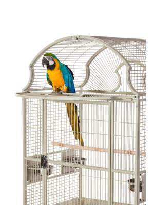 CAGES - Chirp N Dales Pet Supply