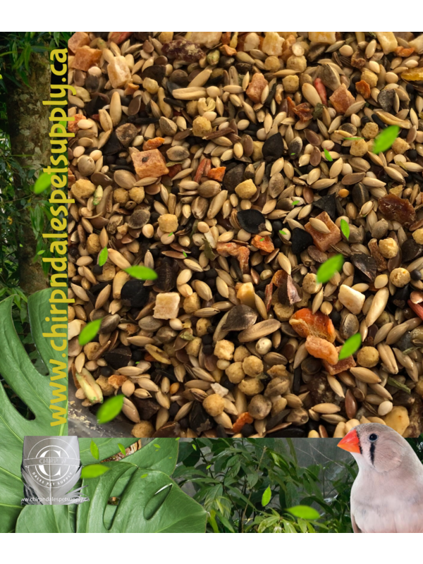 BIRD FOOD - Chirp N Dales Pet Supply
