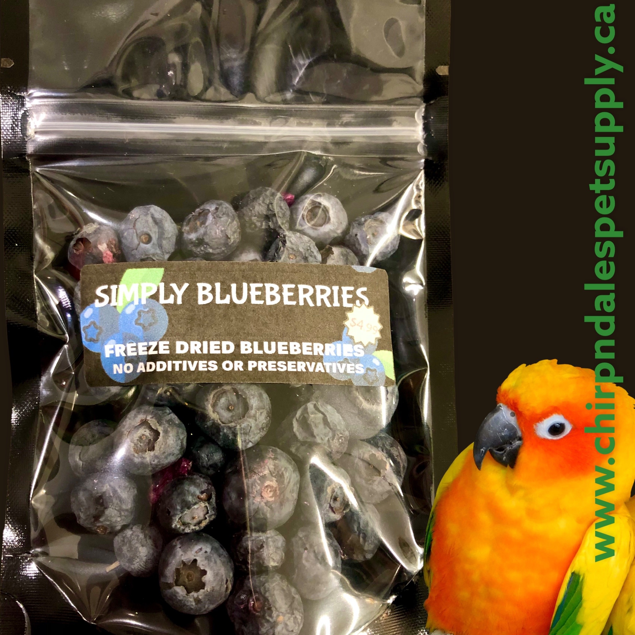 Simply Blueberries Freeze Dried Blueberries - Chirp N Dales Pet Supply