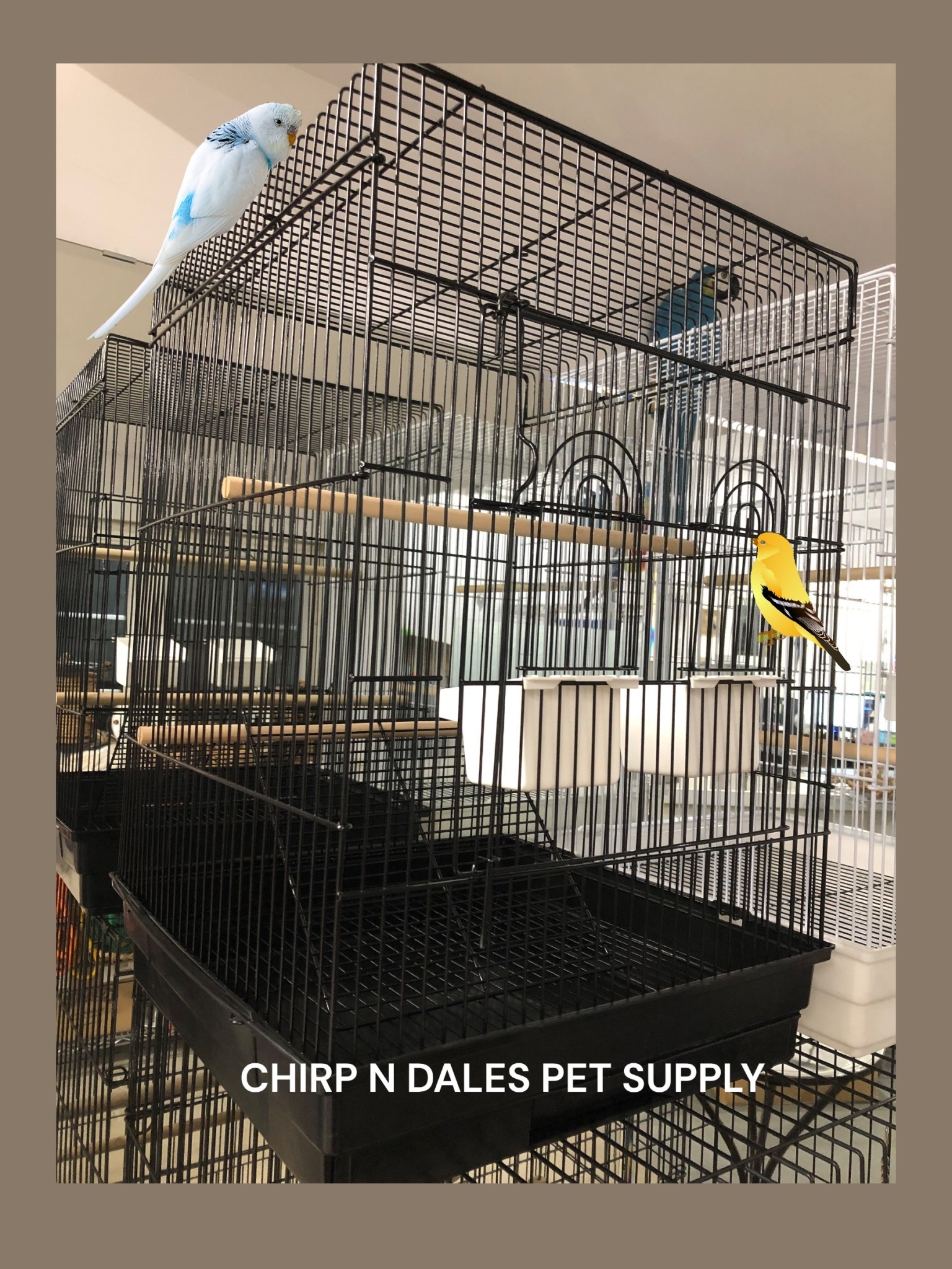 Glitter Pet Square Cage C/W Extra Sitting Platform 17"x17" Black ...