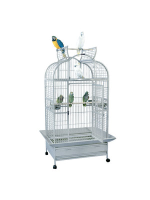 CAGES - Chirp N Dales Pet Supply
