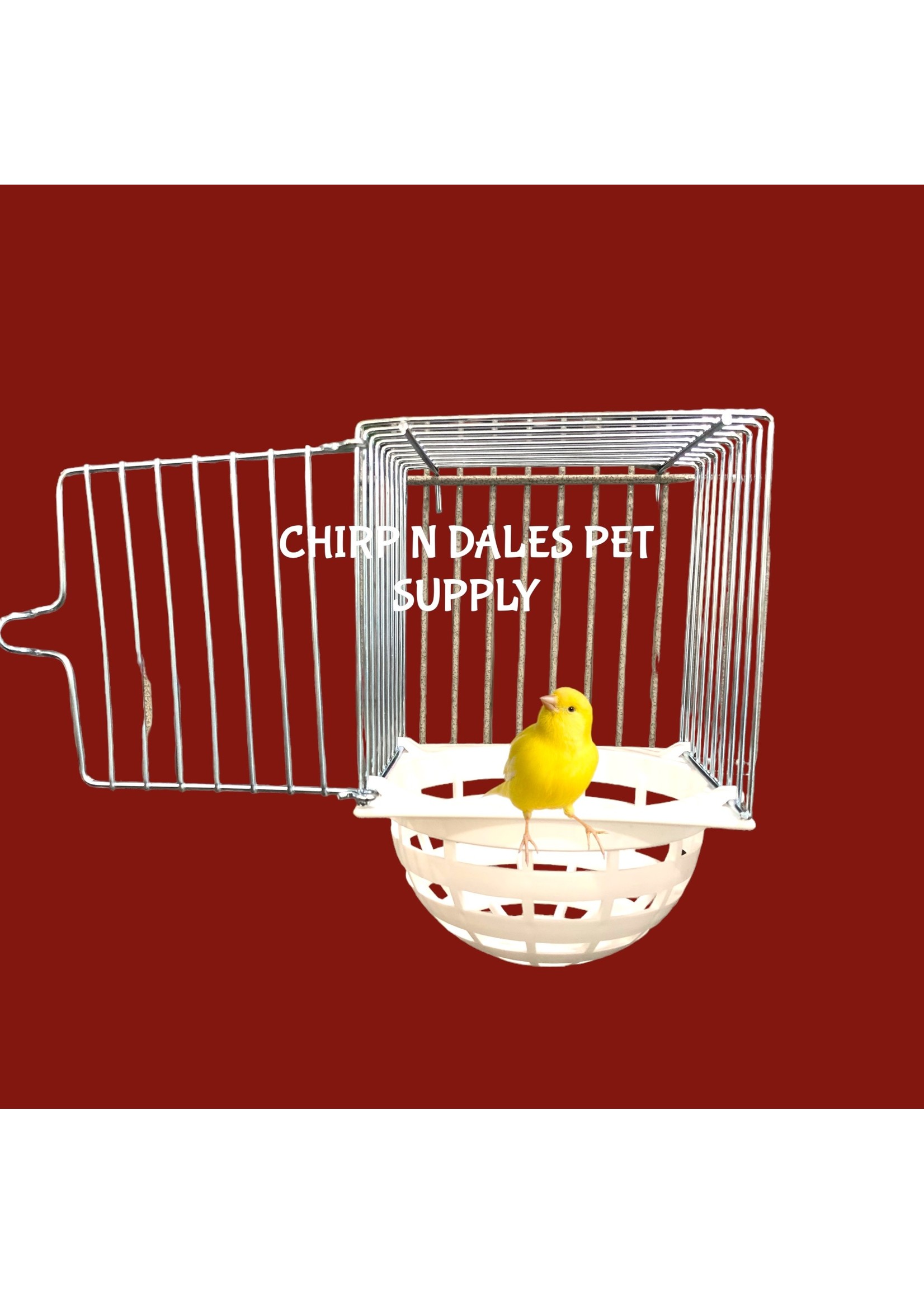 Finch/Canary Wire & Plastic External Mount Nest Box - Chirp N Dales Pet ...