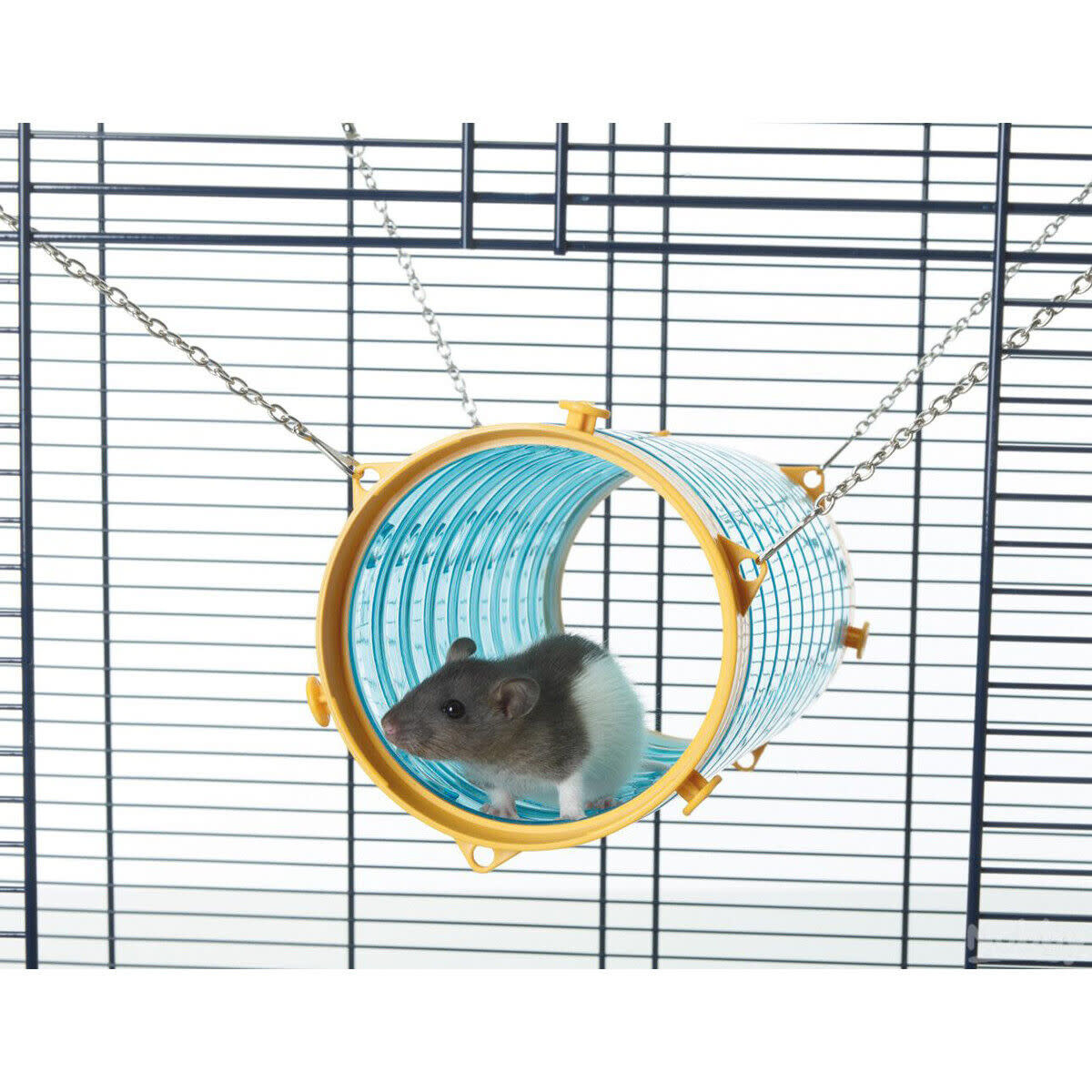 SAVIC GIANT PLAY TUBE FOR RATS / FERRETS/BIRDS - Chirp N Dales Pet Supply