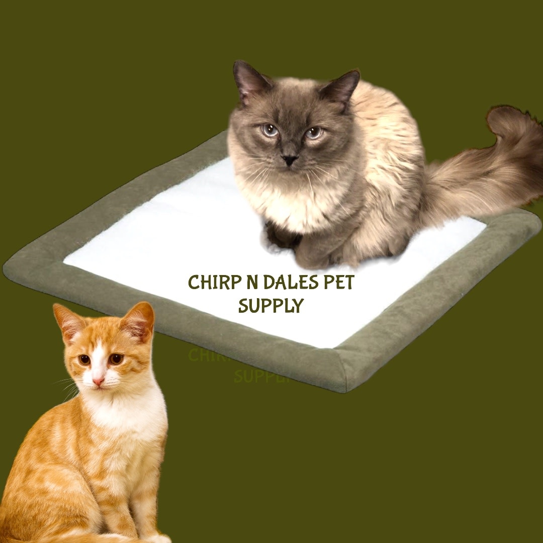 ASPEN PET PETMATE ATTRACT-O-MAT - Chirp N Dales Pet Supply