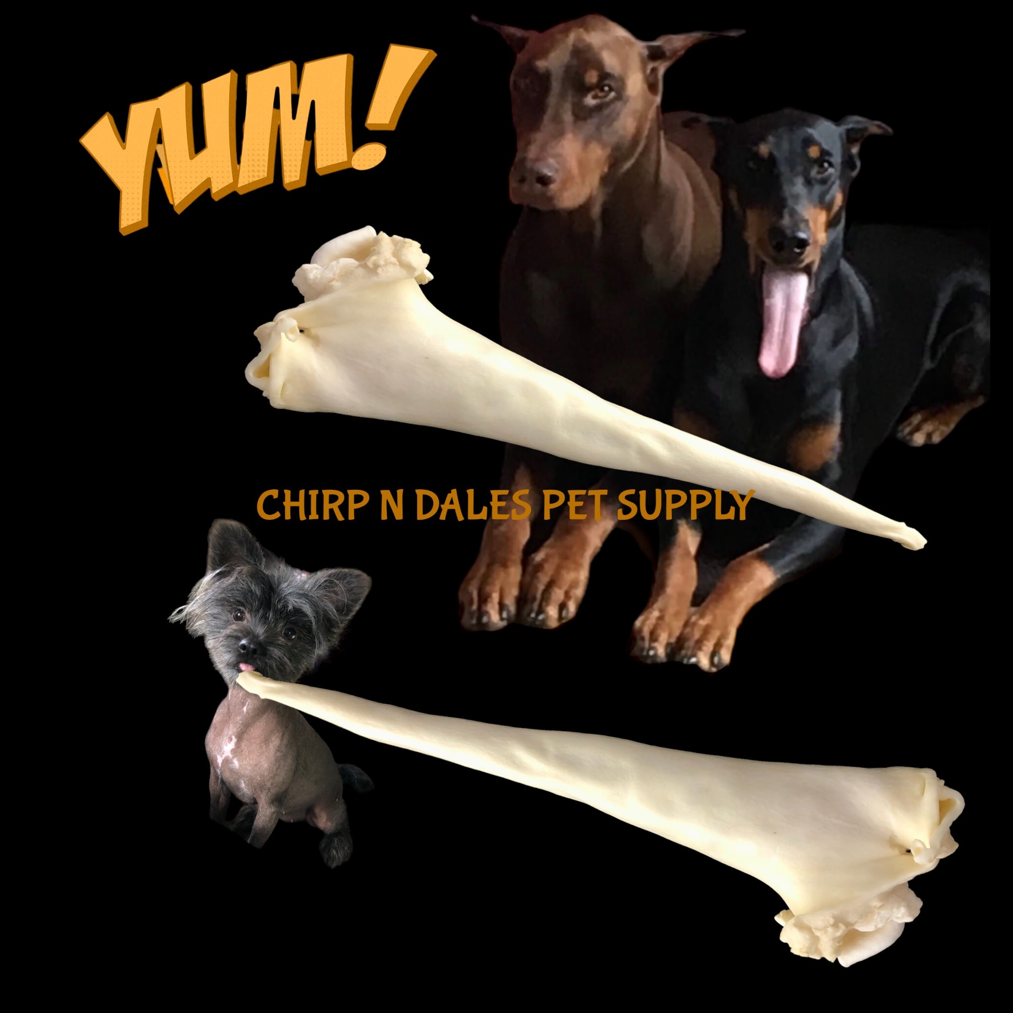 Open Range Full Length Bull Tail - Chirp N Dales Pet Supply