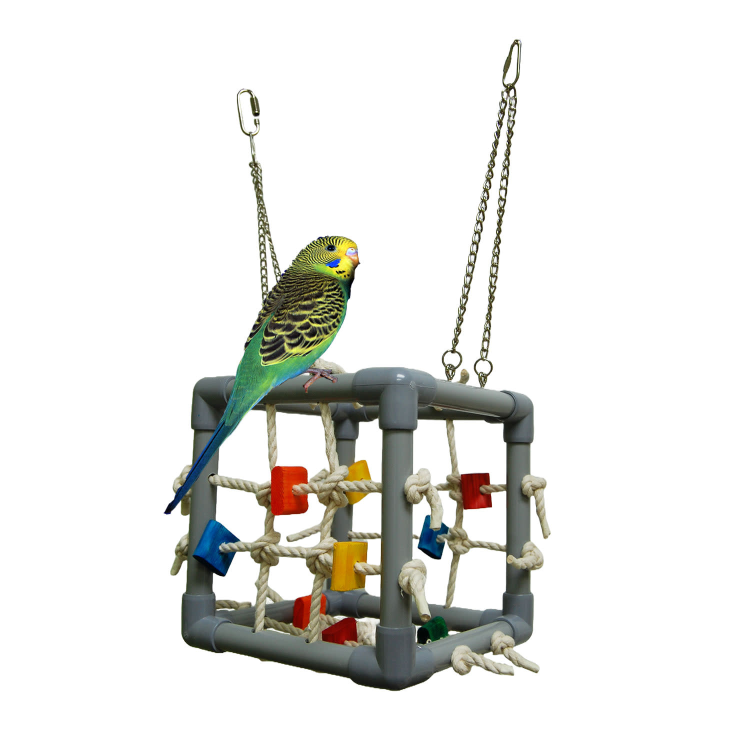 Zoo Max Cube Small 8" x 8" x 8 inch - Chirp N Dales Pet Supply