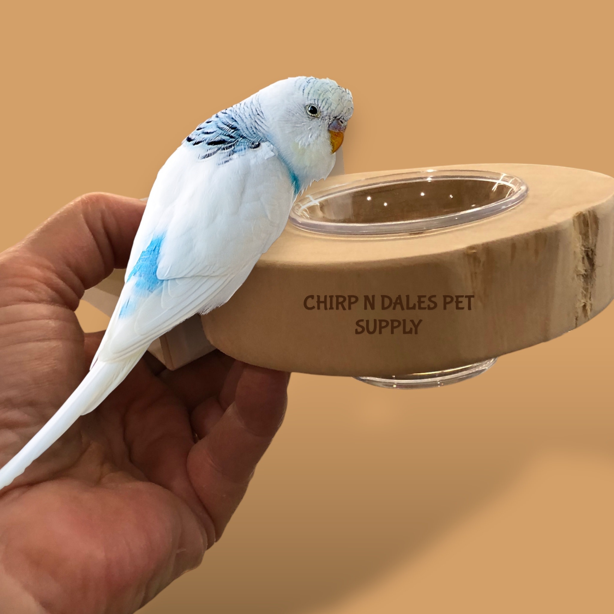 Jolly Jungle Natural Java Wood Platform Bird Feeder A1667 - Chirp N Dales Pet Supply