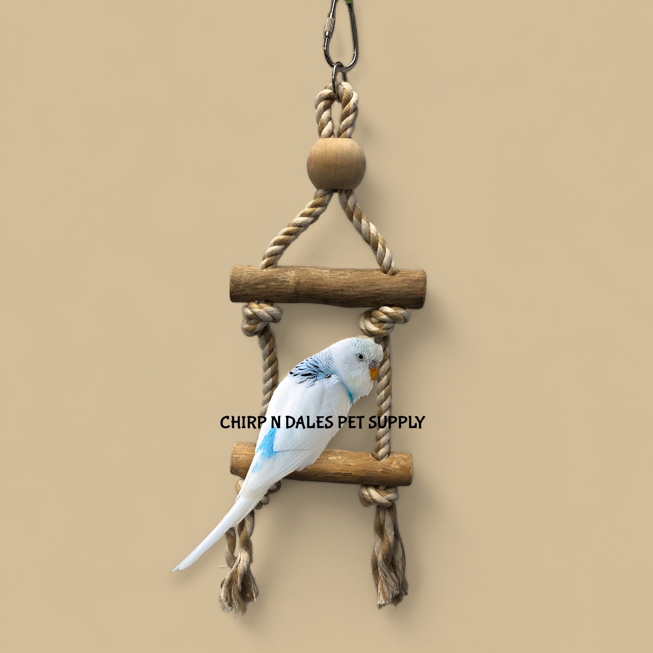 Jolly Jungle Natural Java Wood Perches With Rope and Swing Small ...