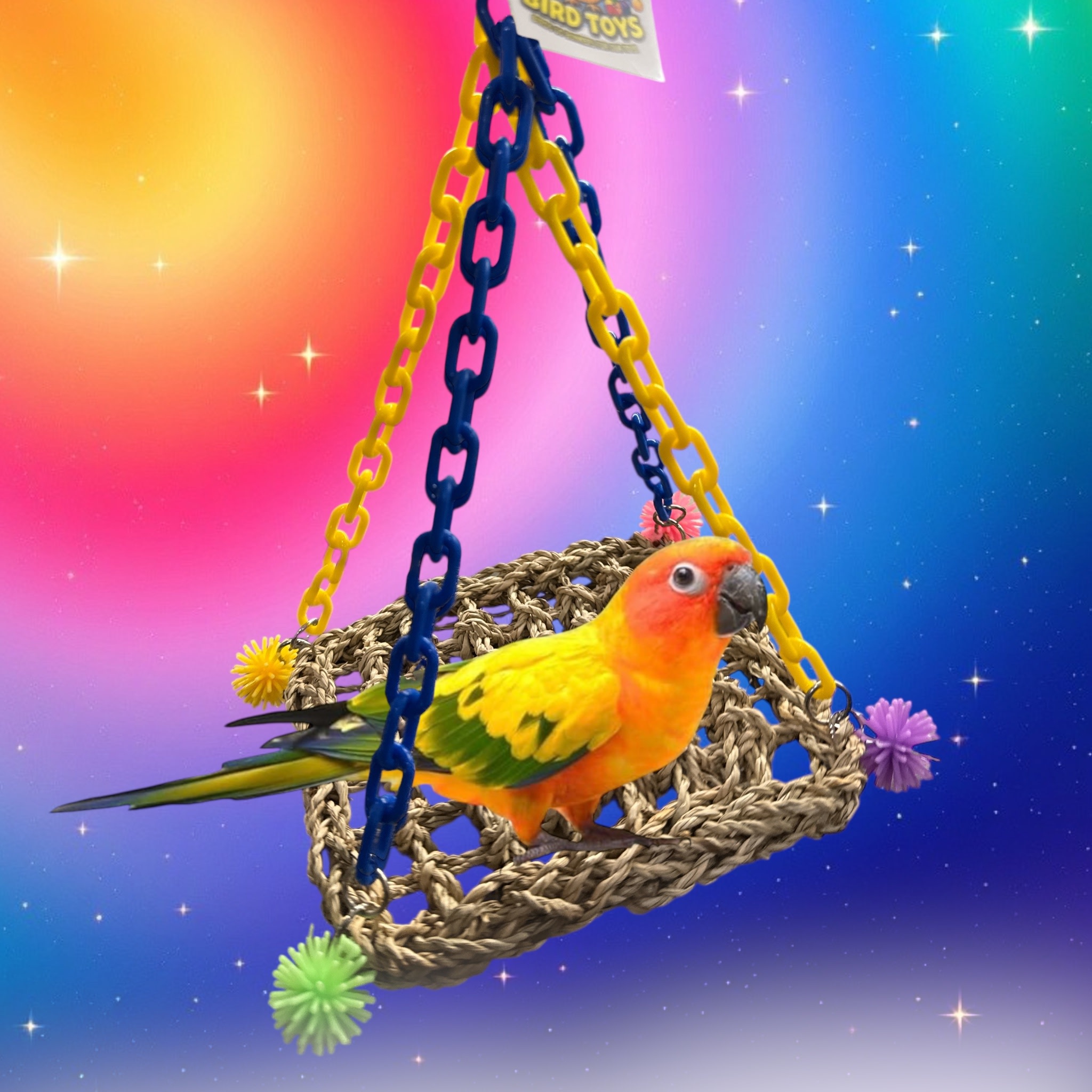 Bonkers Medium Seagrass Swing 7 x 7 x 12” - Chirp N Dales Pet Supply