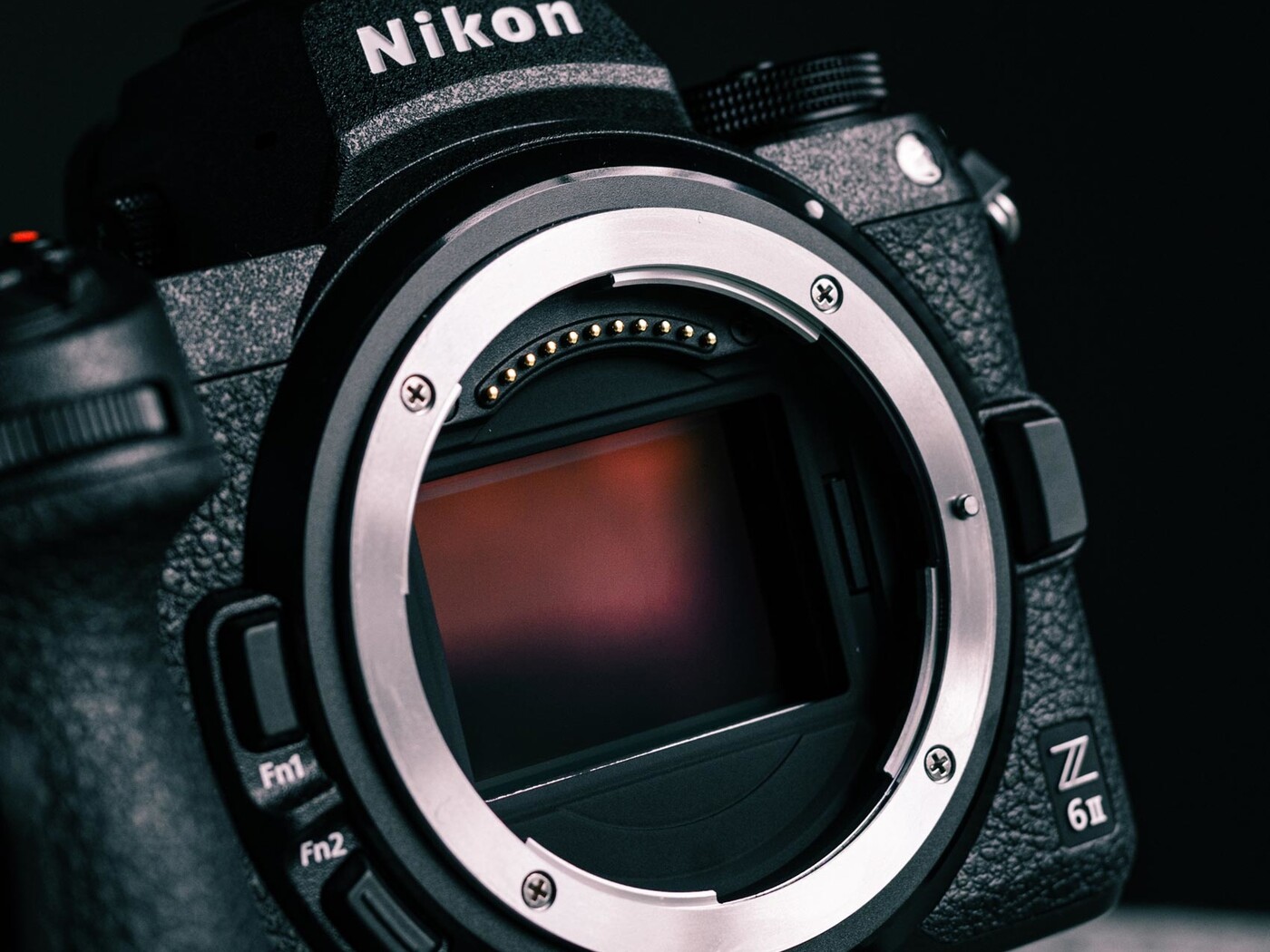 Looking Glass Photo & Camera - Looking Glass Photo & Camera