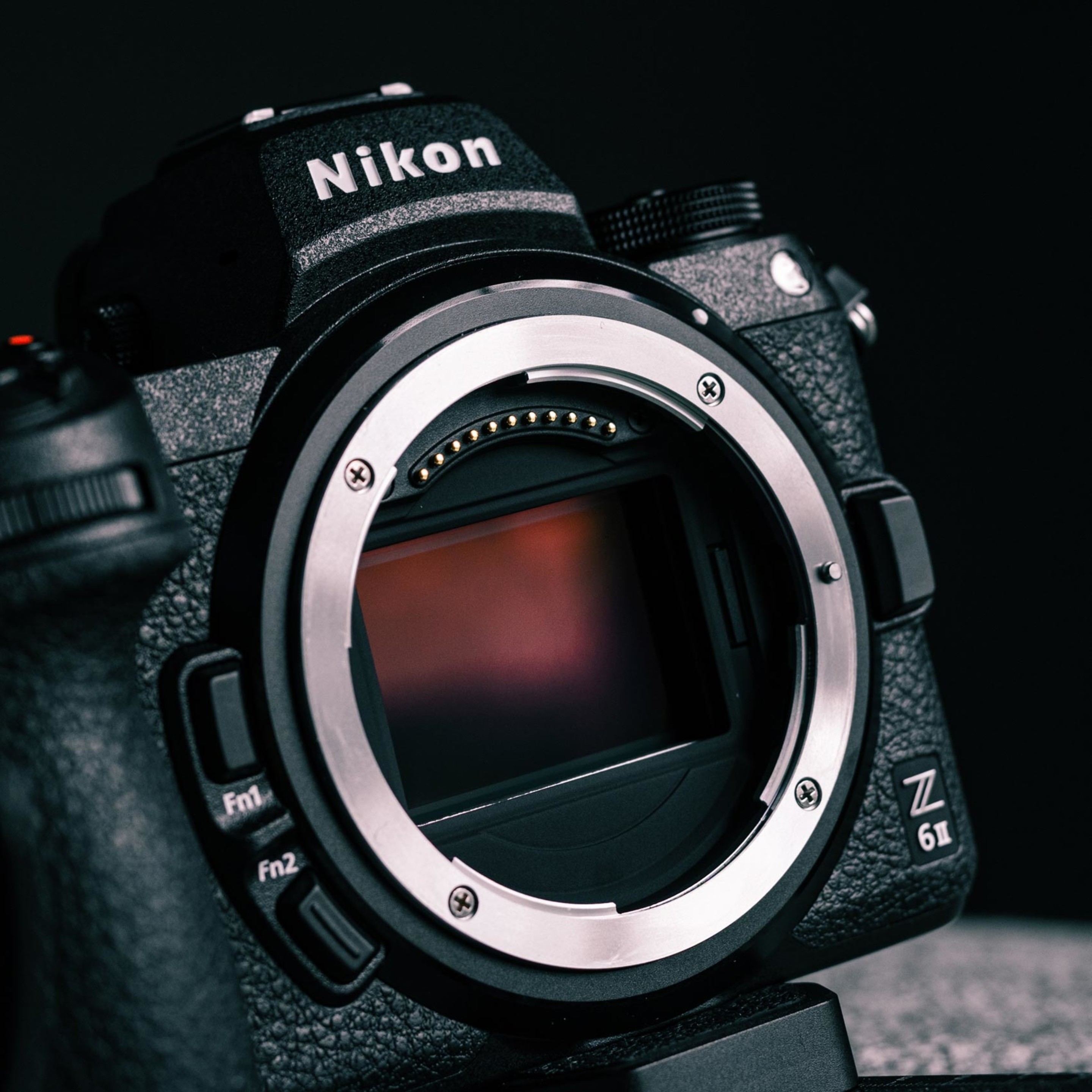 Looking Glass Photo & Camera - Looking Glass Photo & Camera