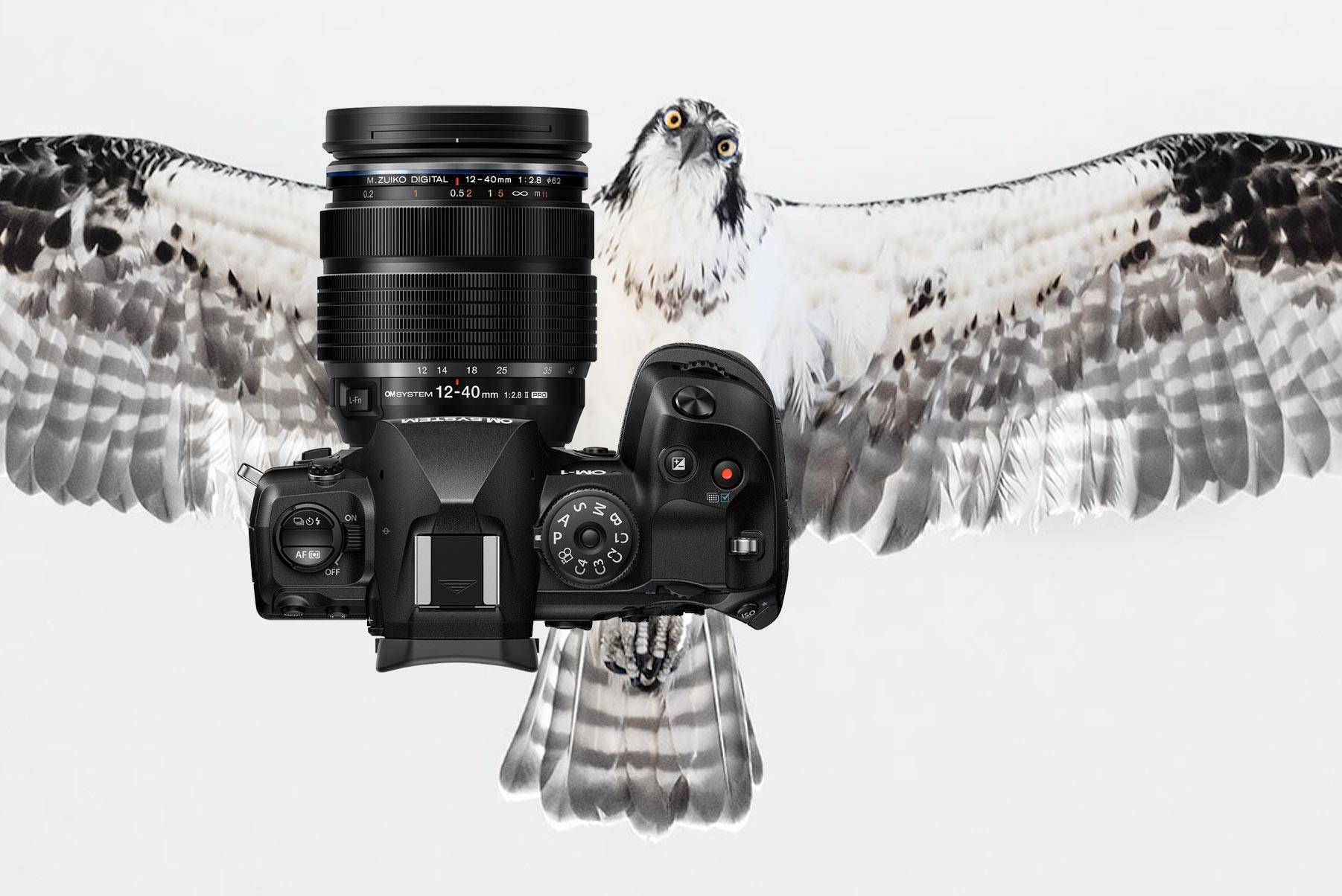 Looking Glass Photo & Camera - Looking Glass Photo & Camera
