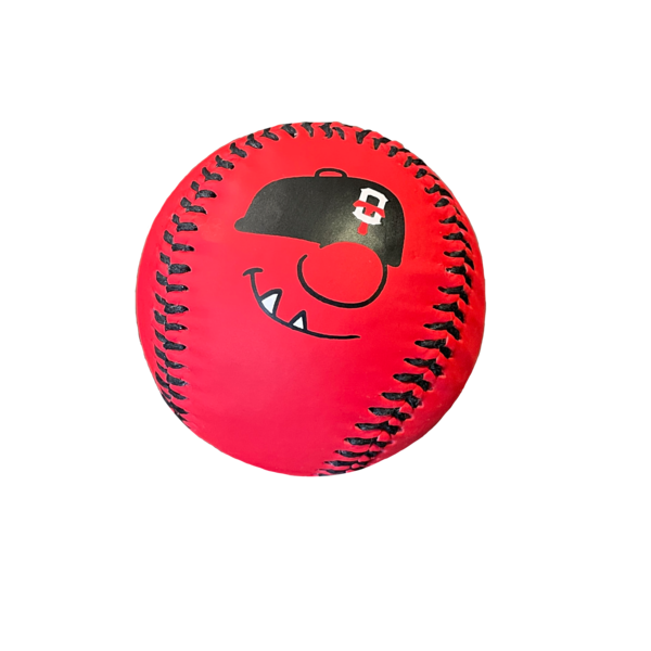 Accessories - Ottawa Titans Baseball Club