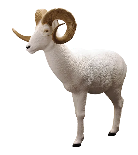 Rinehart IBO Standing Dall Sheep Target - Antler River Archery