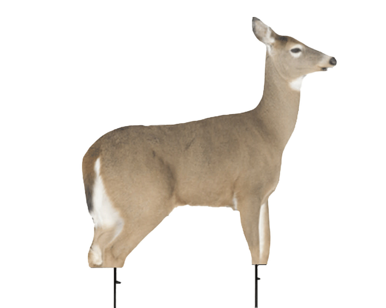 Montana Whitetail Dreamy Doe Decoy - Antler River Archery