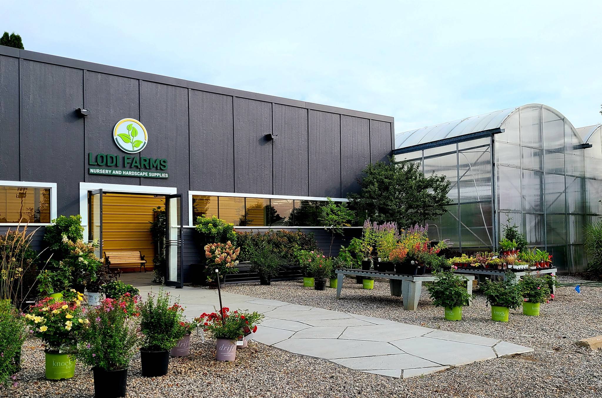 Lodi Farms - Lodi Farms