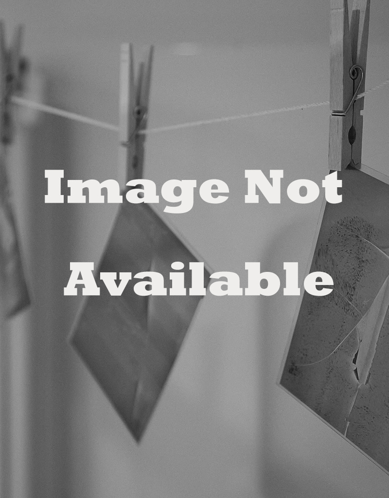 Lee Filters BlackFoil 50'x12" *ON SALE NOW - B3K Digital