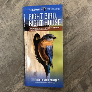 Folding Pocket Guides - Backyard Birds Nature Shop
