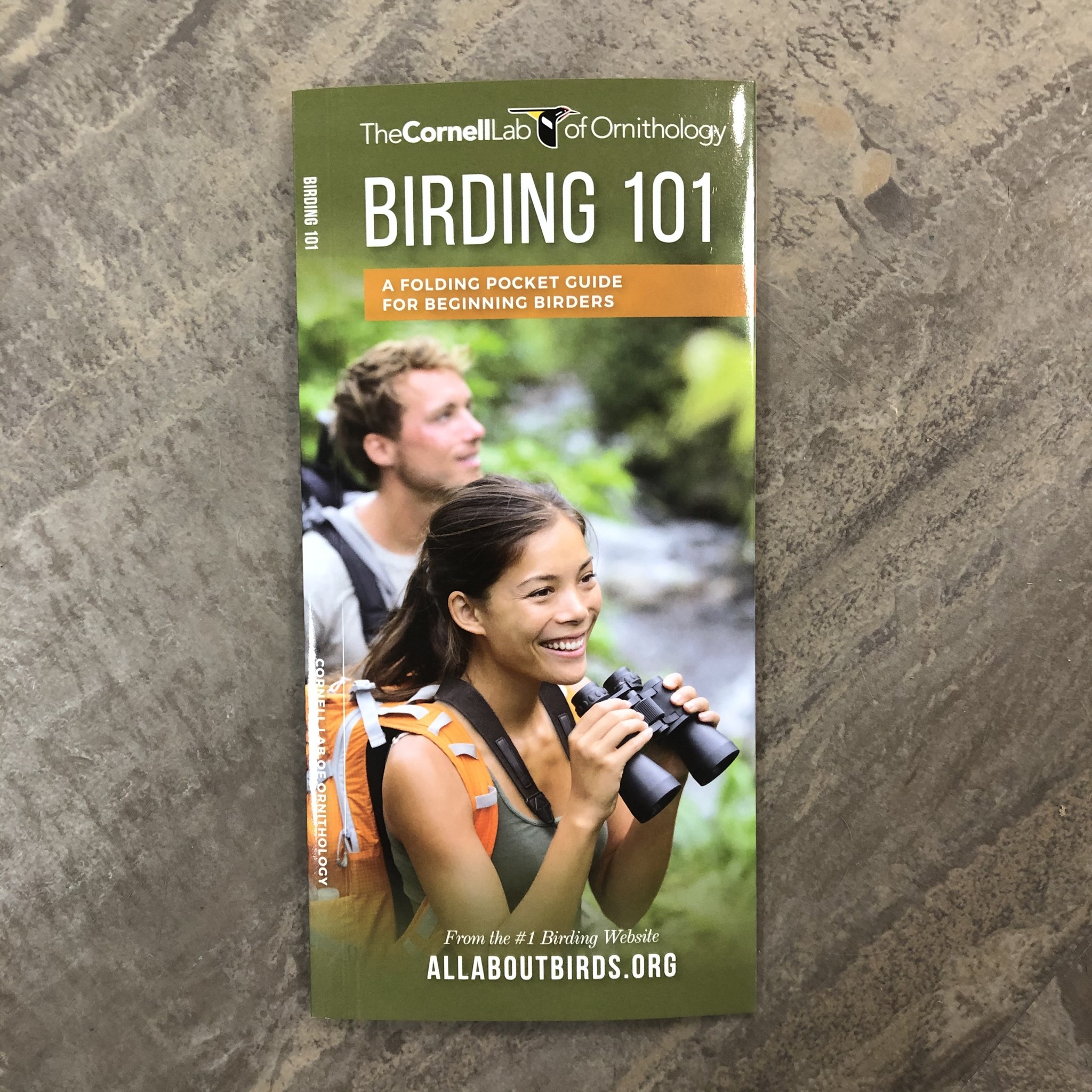 Folding Pocket Guide: Birding 101 - Backyard Birds Nature Shop
