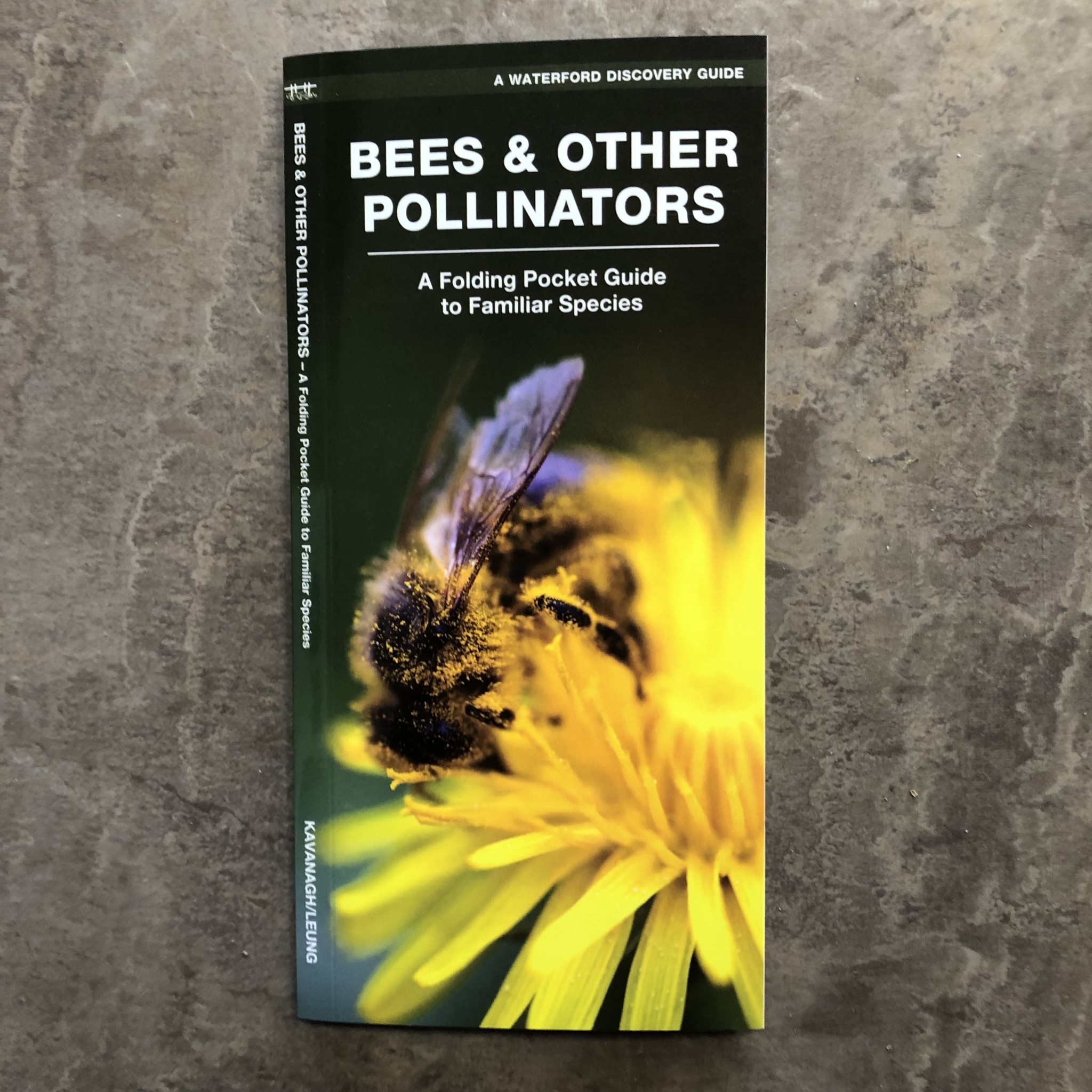 Folding Pocket Guide: Bees & Other Pollinators - Backyard Birds Nature Shop