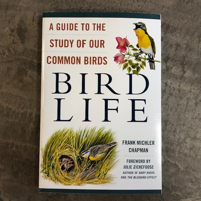 Bird Life: A guide to the study of our common birds - Backyard Birds ...