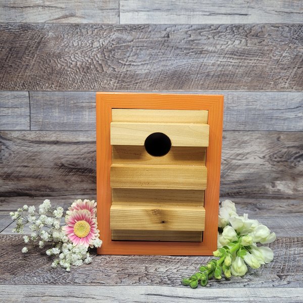 Bluebird/Tree Swallow Nest Boxes - Backyard Birds Nature Shop