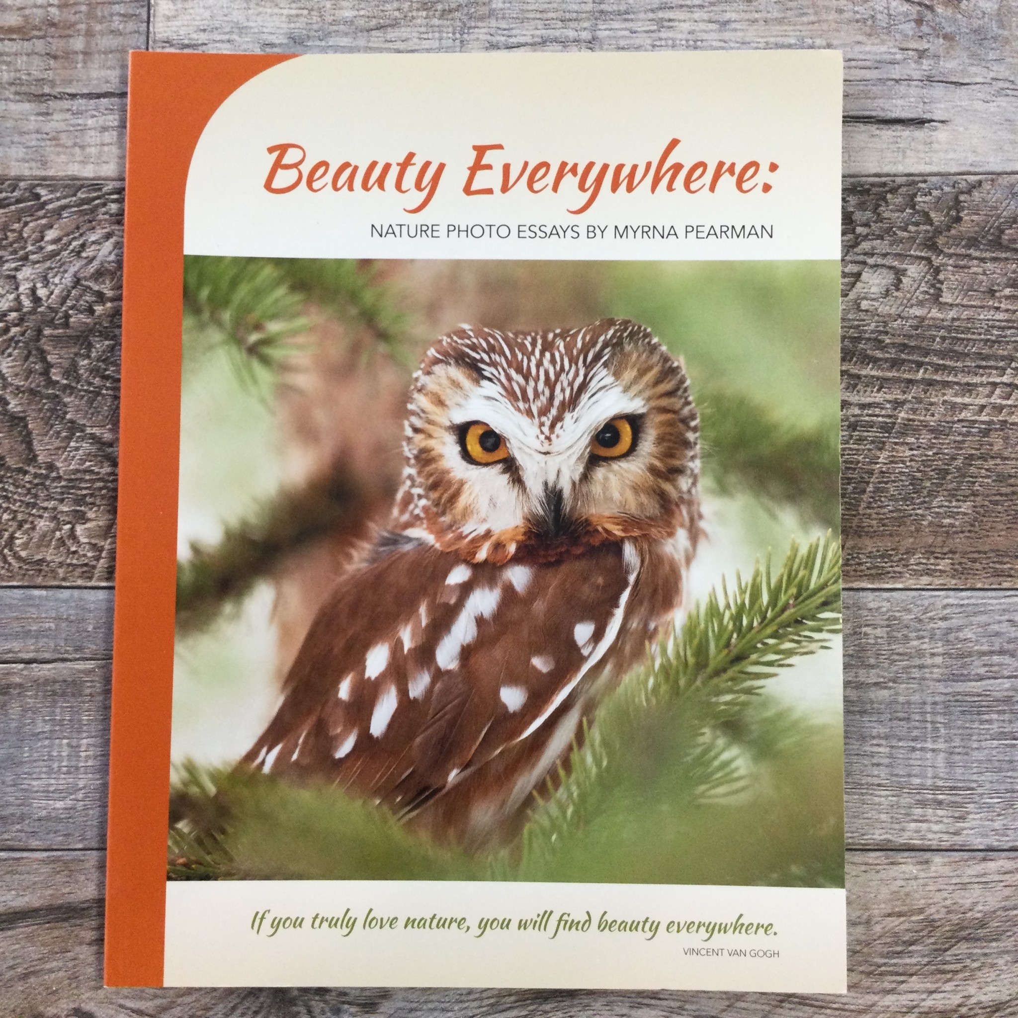 Beauty Everywhere: Nature Photo Essays - Backyard Birds Nature Shop