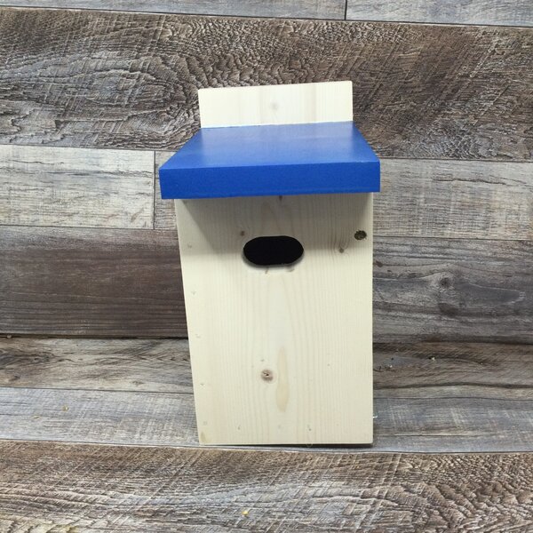 Bluebird/Tree Swallow Nest Boxes - Backyard Birds Nature Shop