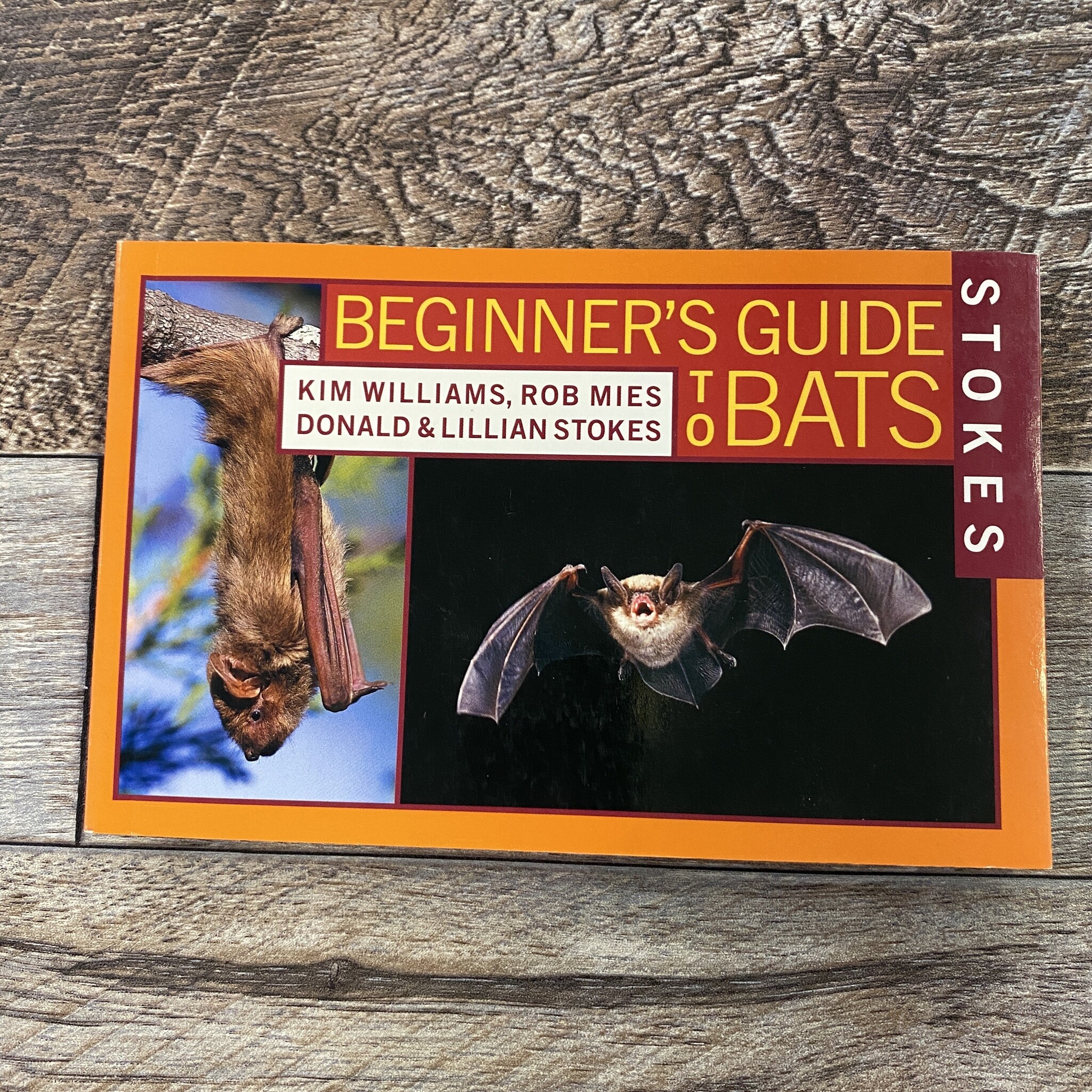 Stokes Beginners Guide to Bats - Backyard Birds Nature Shop
