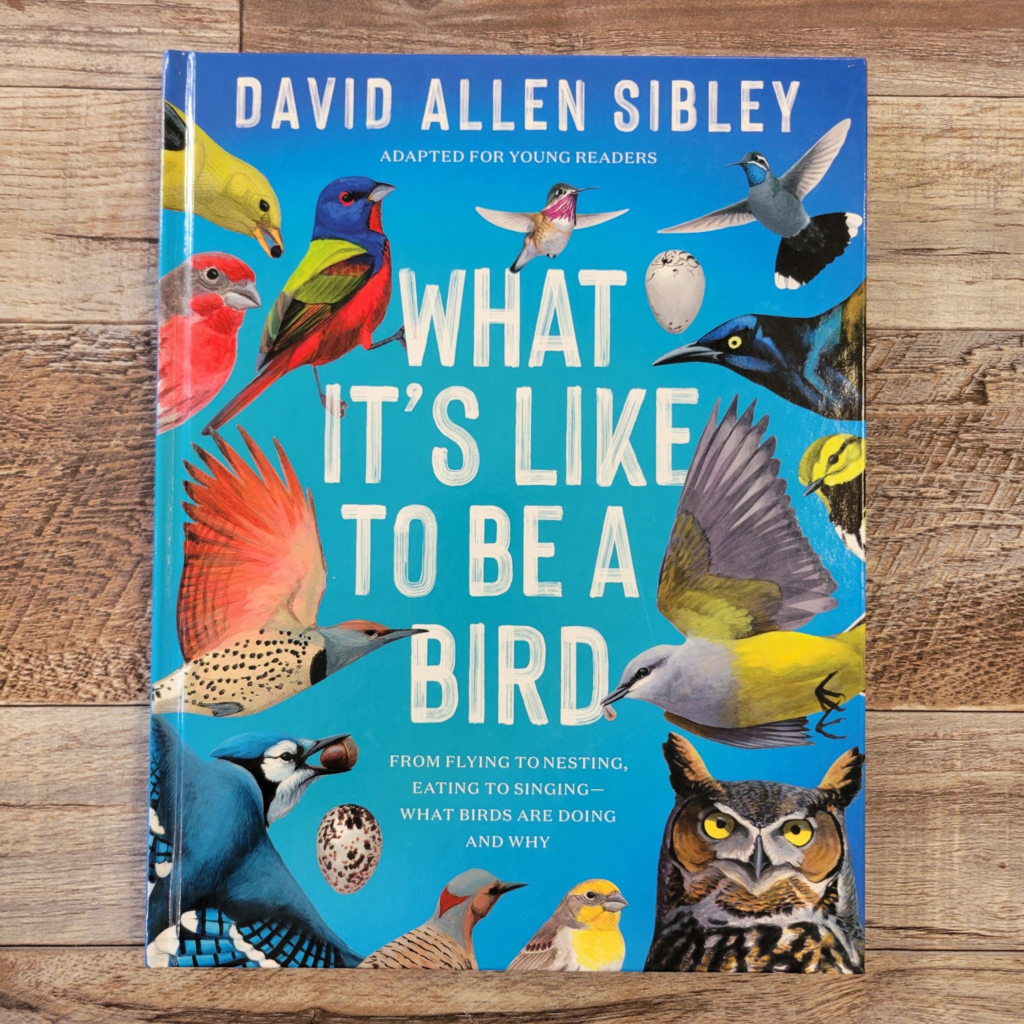 What It's Like to Be a Bird (Adapted for Young Readers) - Backyard ...
