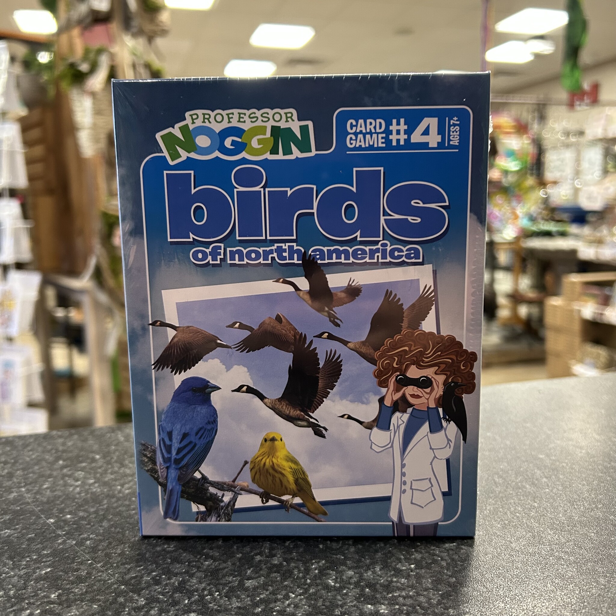 Professor Noggin Game - Birds of North America - Backyard Birds Nature Shop