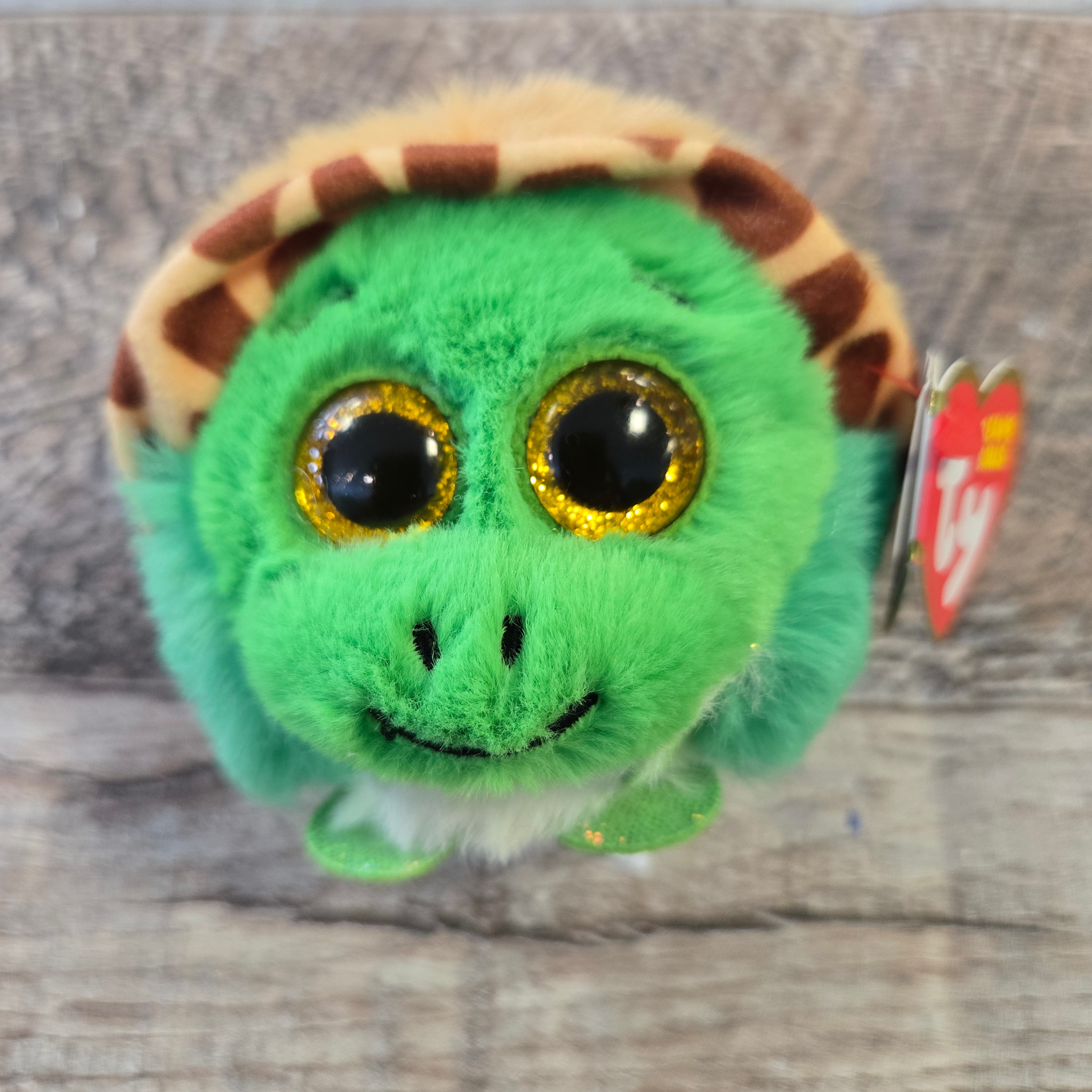 TY Beanie Ball - Cruiser the Turtle - Backyard Birds Nature Shop