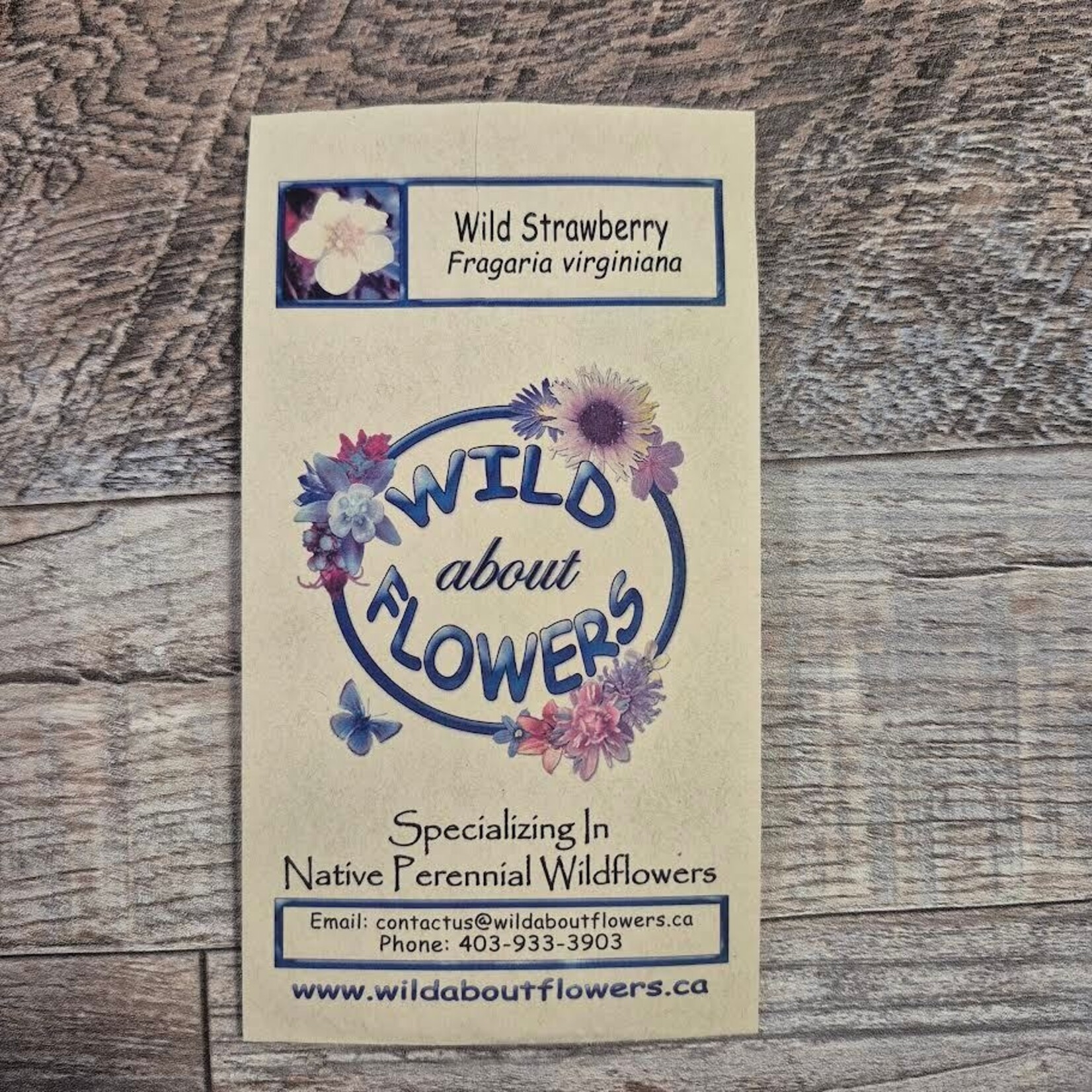 Wildflowers Seed Package - Wild Strawberry - Backyard Birds Nature Shop