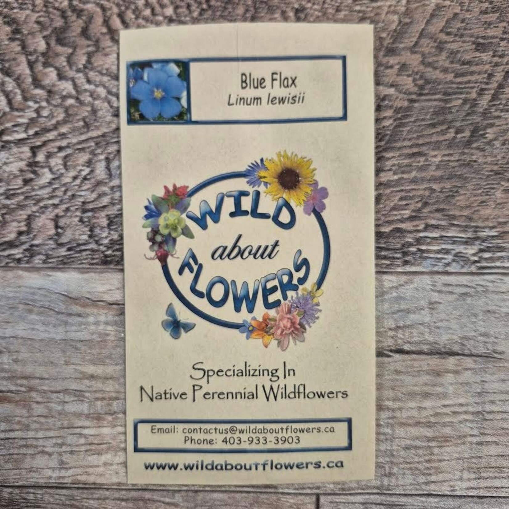 Wildflowers Seed Package - Blue Flax - Backyard Birds Nature Shop