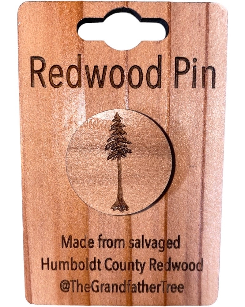 Collectible Pin (Redwood) Tree - Grandfather Tree Gifts and More