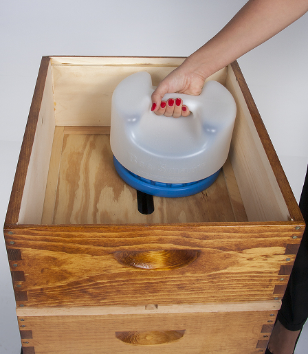 Bee Smart Designs Ultimate In-Hive Feeder - To Bee or not to bee