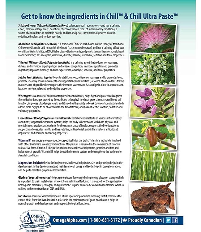 Oméga Alpha - Chill Ultra - Paddock Animal