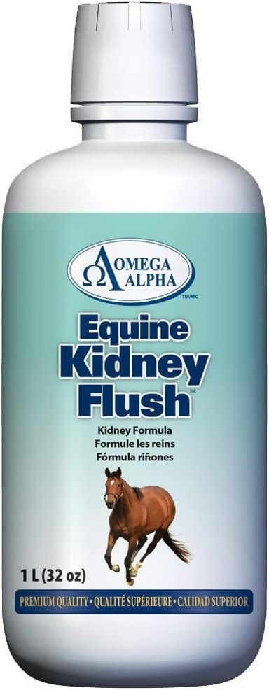 OMEGA ALPHA - Equine kidney flush - Paddock Animal