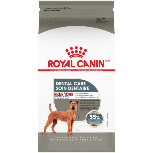 ROYAL CANIN - Nutrition Santé et Taille MOYEN SOIN DENTAIRE - Paddock ...