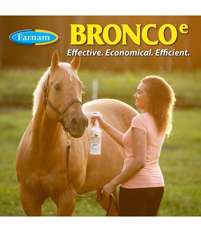 FARNAM - Bronco - Paddock Animal
