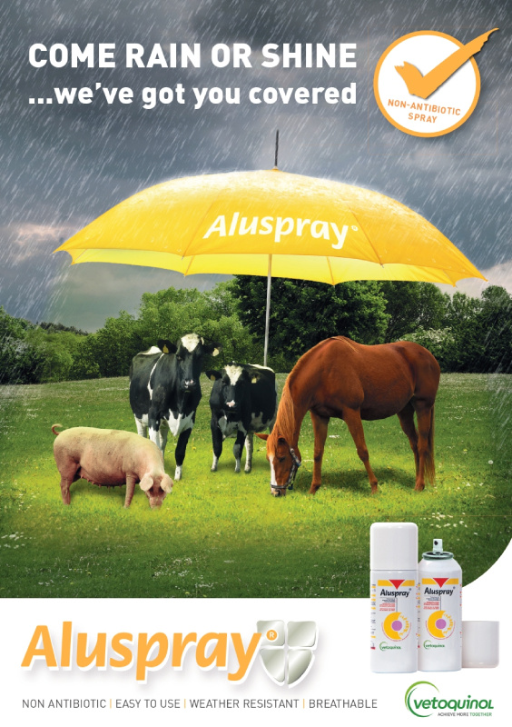 VETOQUINOL - Aluspray - Paddock Animal